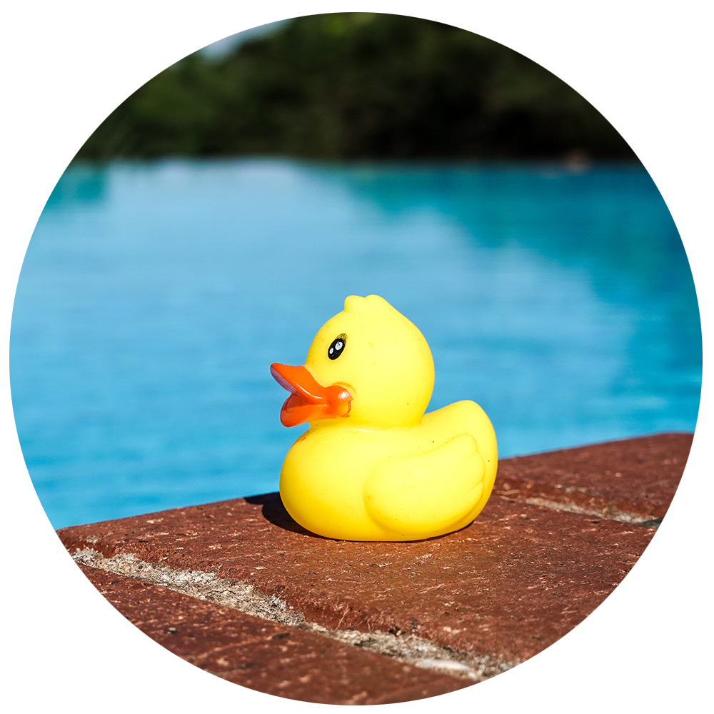 My Insurance Broker - Auto Quoter